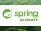 Here's What You Need to Know About The Spring Security Architecture