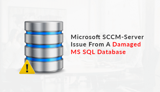 Microsoft SCCM-Server Issue From A Damaged MS SQL Database