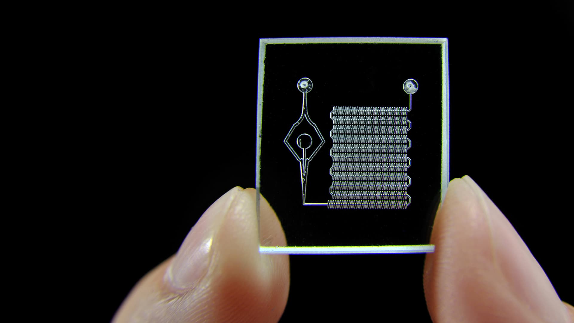 Researcher Curate Chip That Can Mimic Organs To Make Tests Better