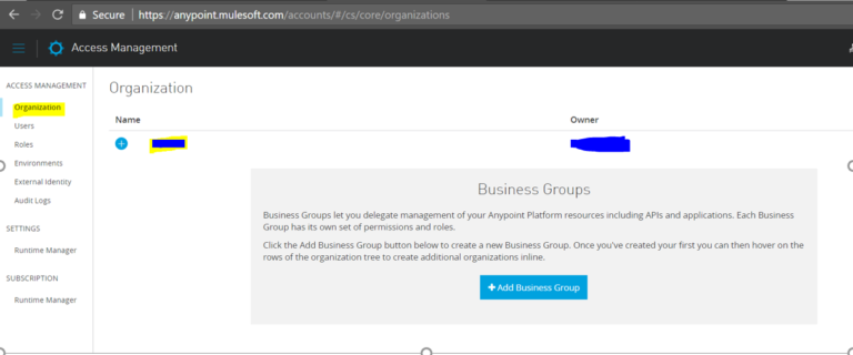 Accessing And Modifying Mule Message Log In MuleSoft