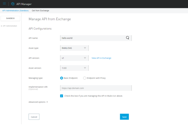 Accessing And Modifying Mule Message Log In MuleSoft