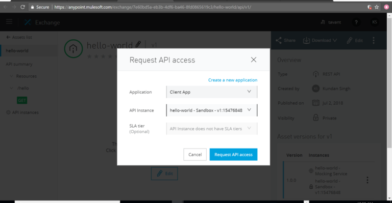 Accessing And Modifying Mule Message Log In MuleSoft