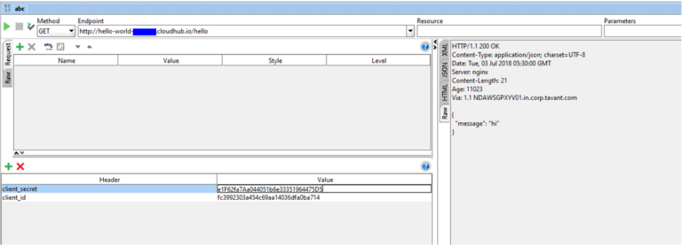 Accessing And Modifying Mule Message Log In MuleSoft