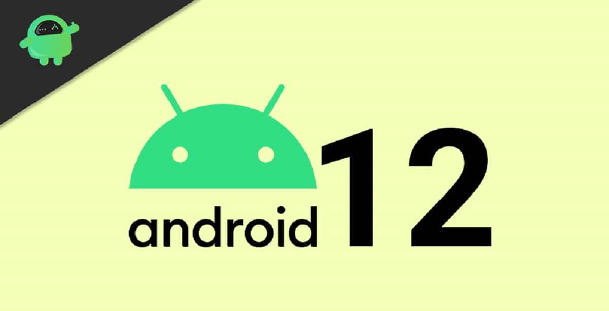 Final Version of Android 12 Is Now Available For Pixel Phones